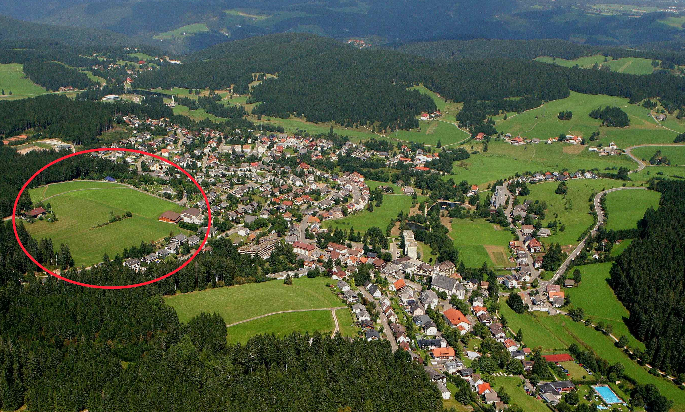 Hier Grundstücke in Schönwald finden